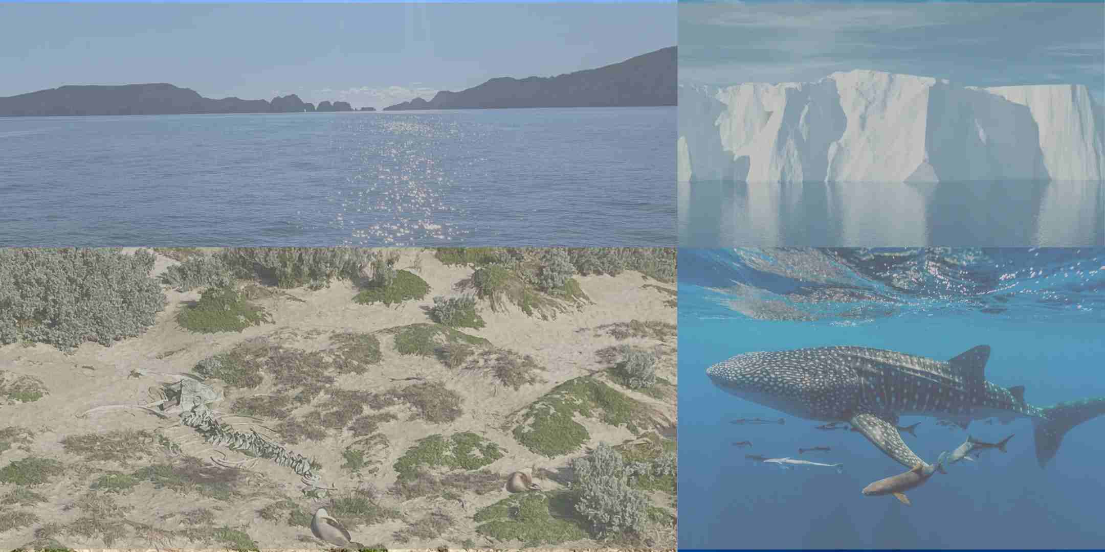 Beyond Detection – The Future of eDNA Research (Post-Event Summary)